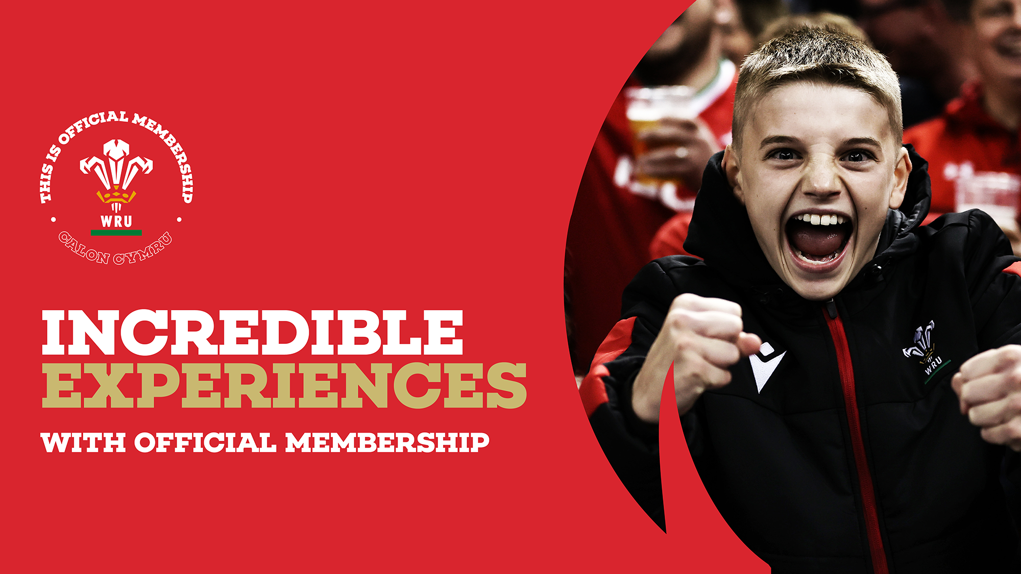 Fourth Wall Creative